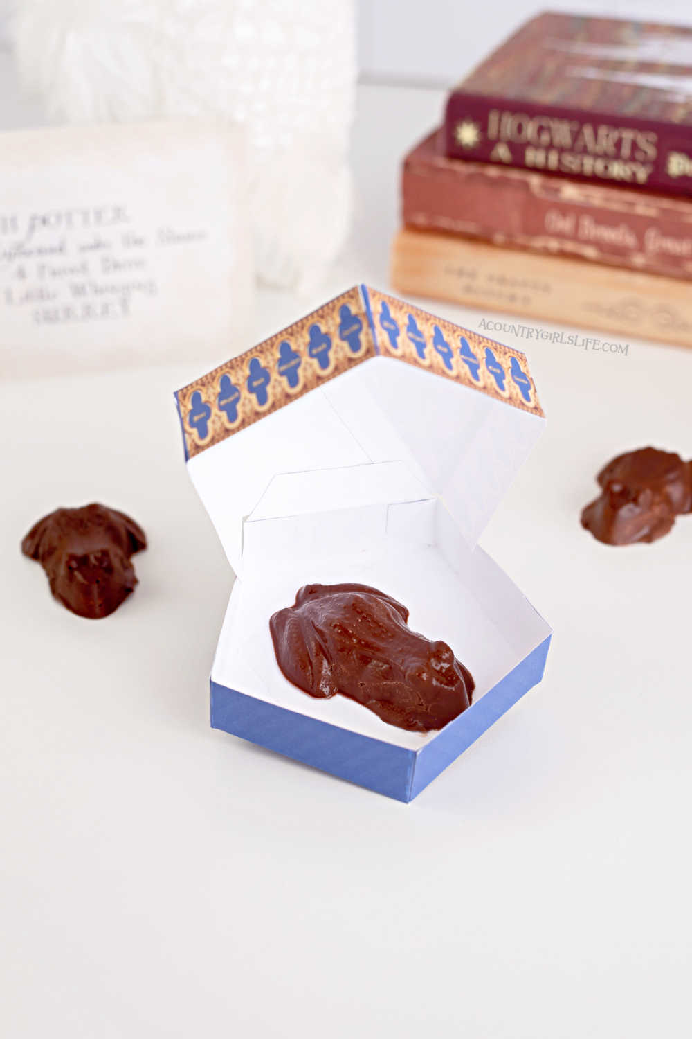 Chocolate Frogs Box (FREE PRINTABLE DOWNLOAD!) - A Country Girl's Life