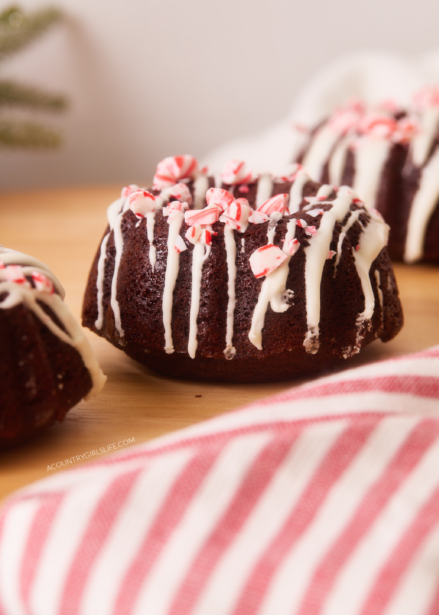 Chocolate Peppermint Mini Bundt Cakes (EASY) - A Country Girl's Life